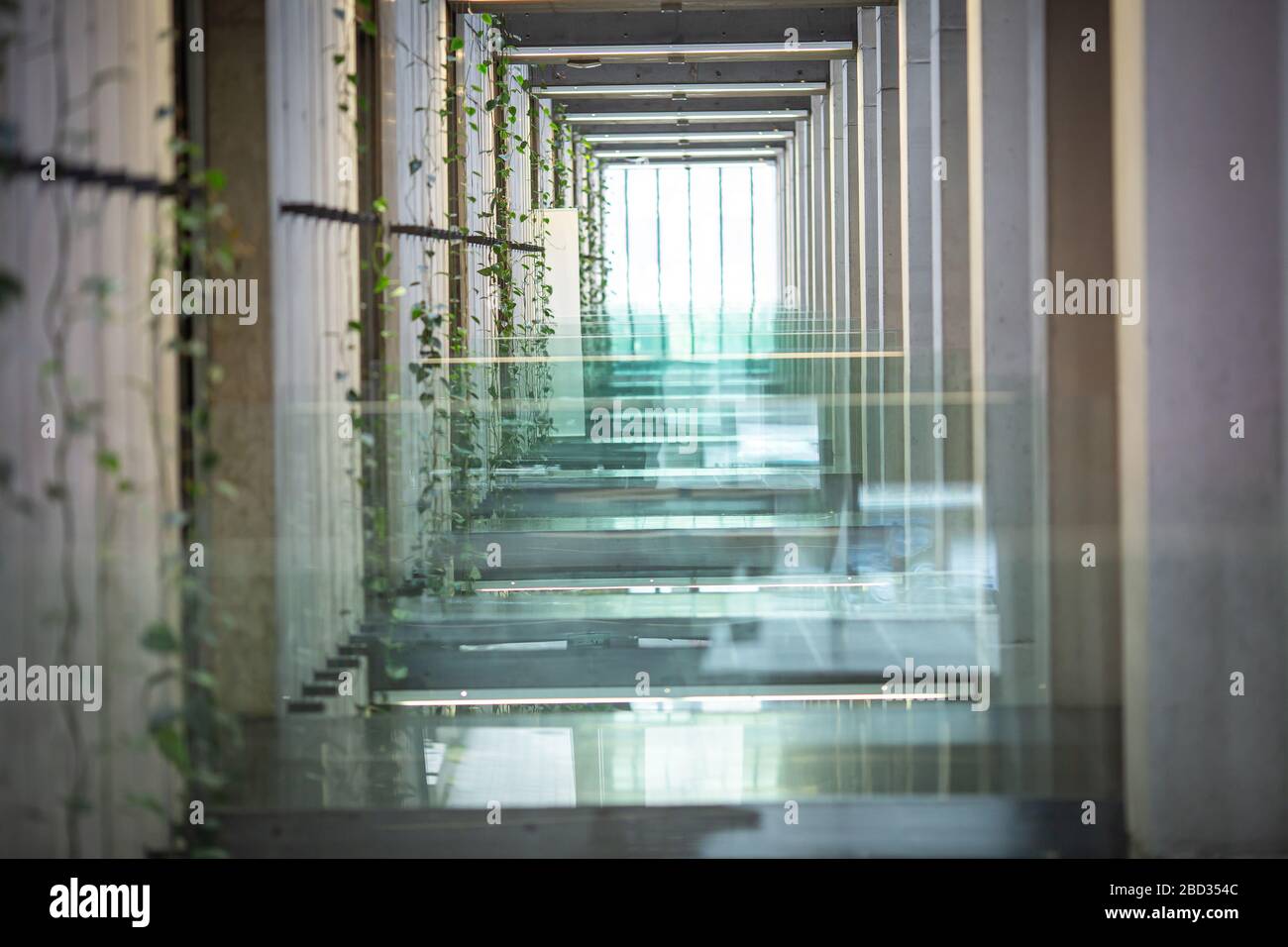 Thick accent hi-res stock photography and images - Alamy