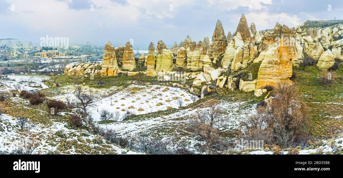The hilly agricultural lands, covered with snow at the line of tall ...