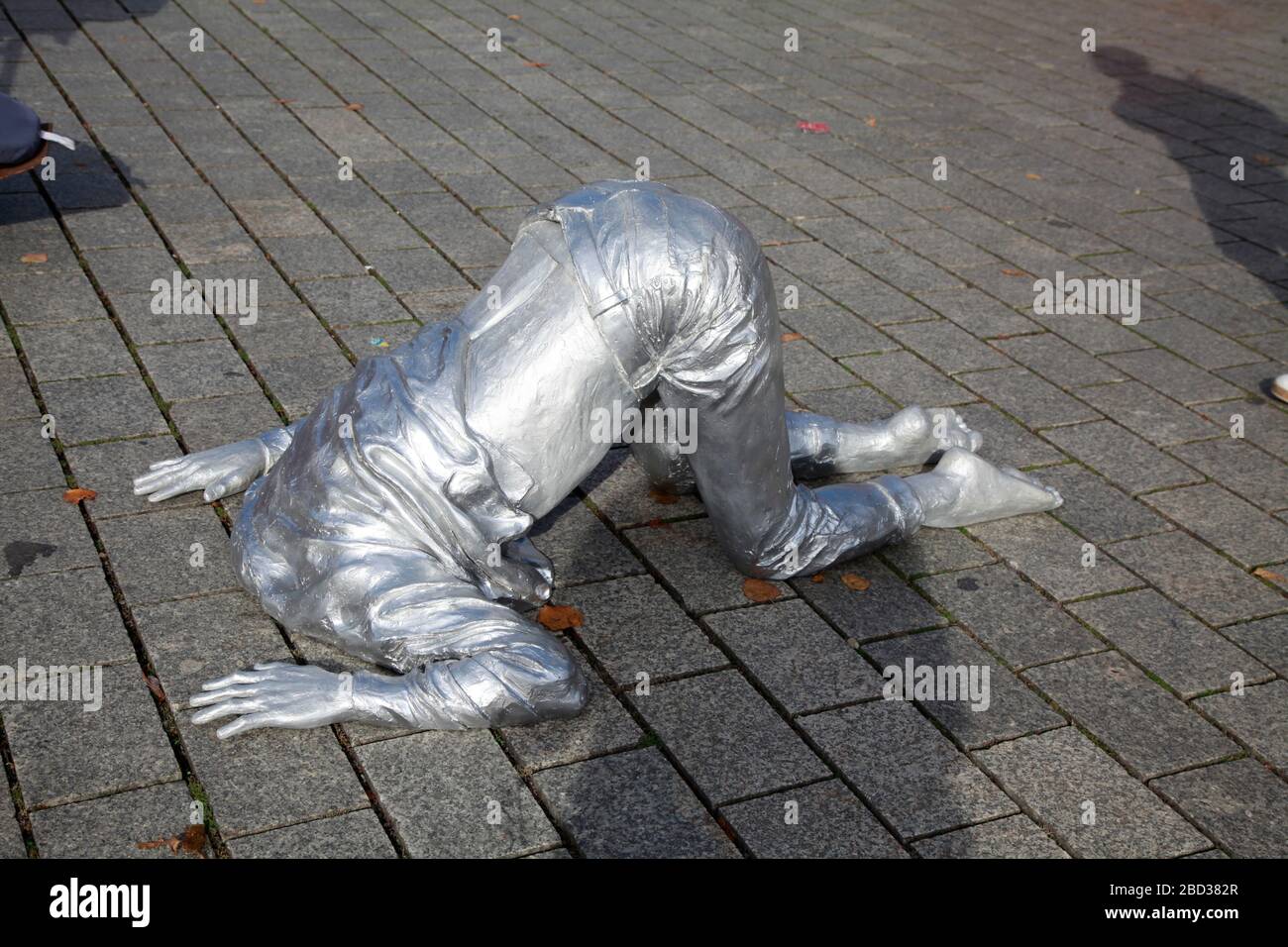 Acedia hi-res stock photography and images - Alamy