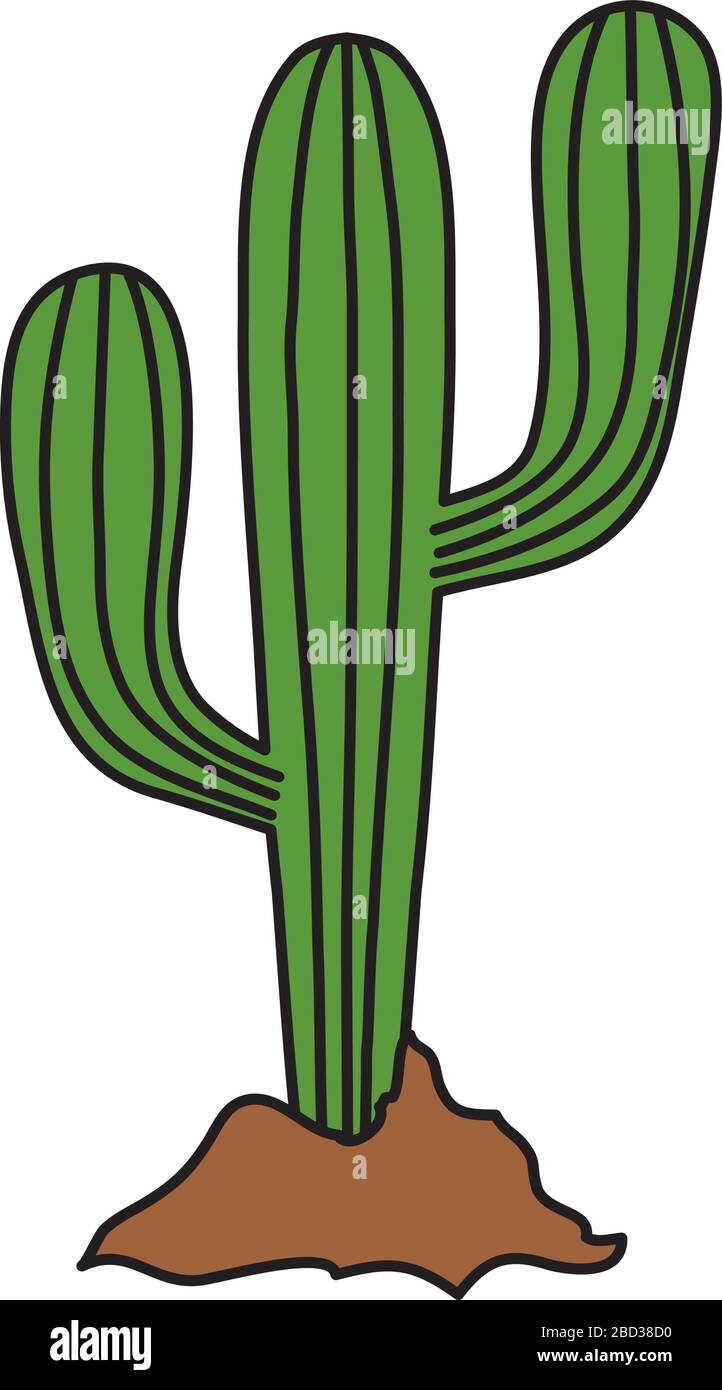 Isolated cactus plant vector design Stock Vector Image & Art - Alamy