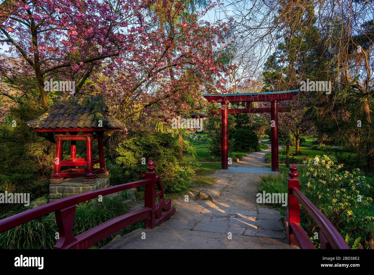 Spring in the Japanese garden Stock Photo - Alamy