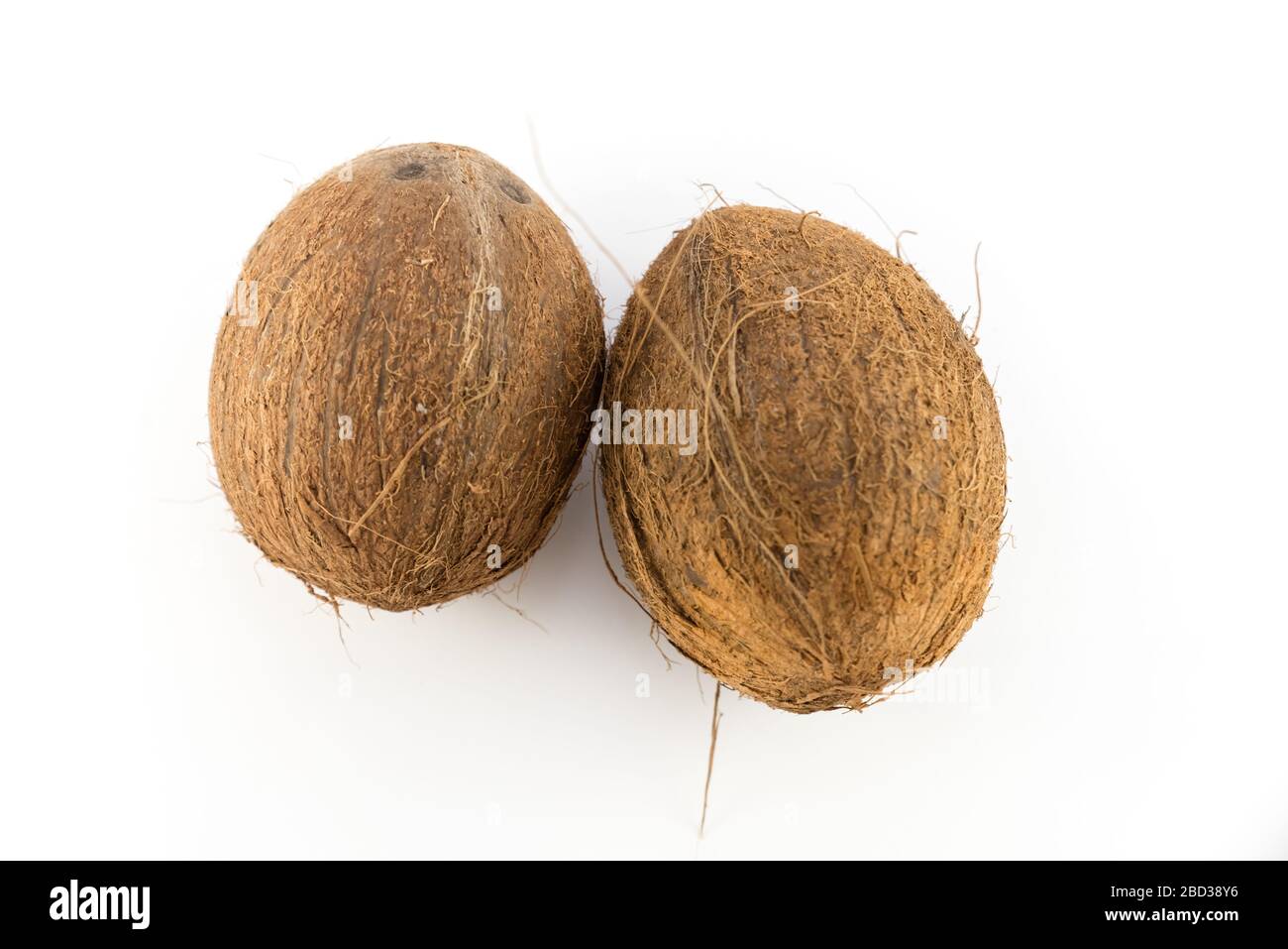 coconuts isolated on the white background Stock Photo - Alamy