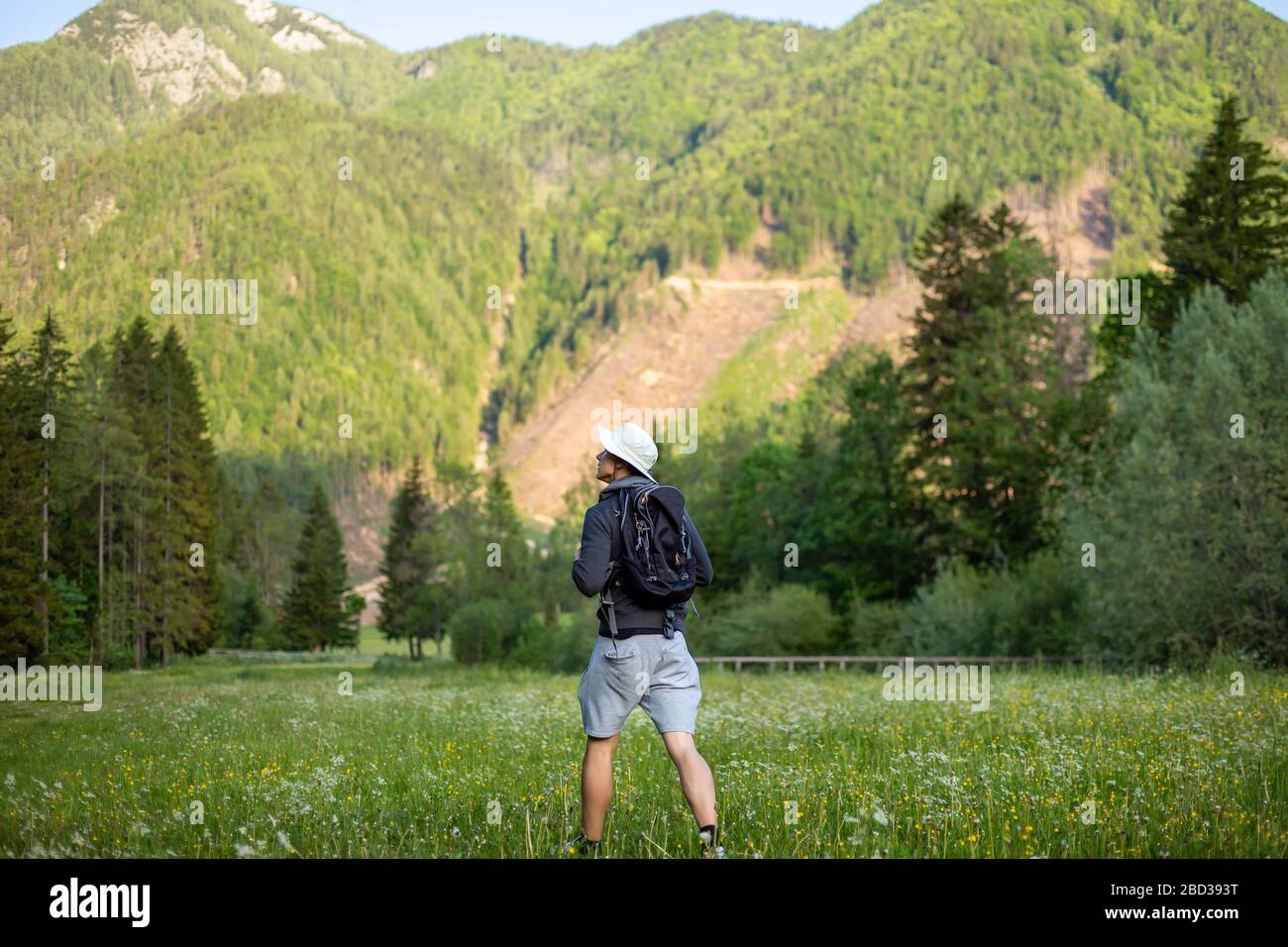 Man hiking in forest. Male hiker looking at beautiful green nature and ...