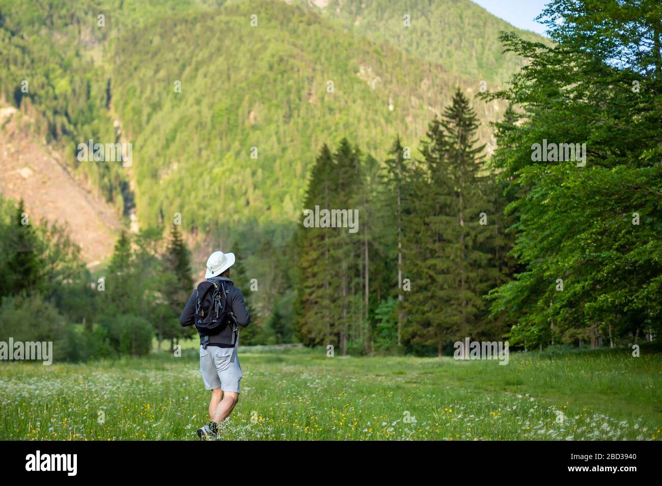 Male traveler walking green forest hi-res stock photography and images ...