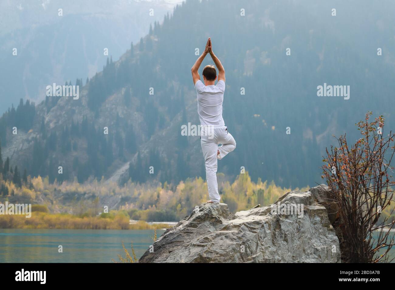 A zen man in white practices yoga in nature. Pose Vrikshasana or tree ...