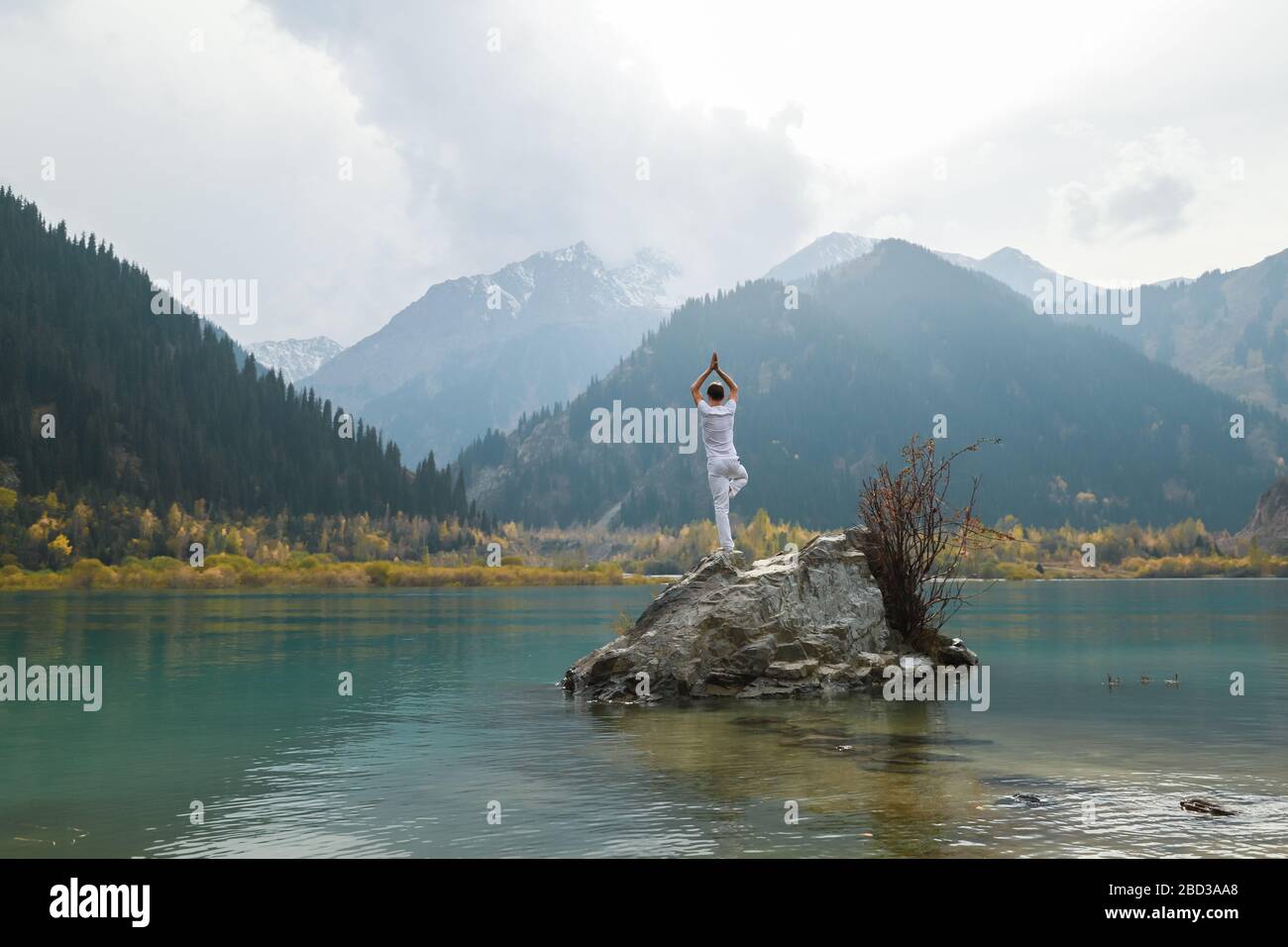 A zen man in white practices yoga in nature. Pose Vrikshasana or tree ...
