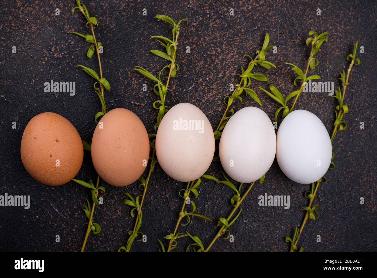 Chicken eggs gradient from light to dark Stock Photo - Alamy