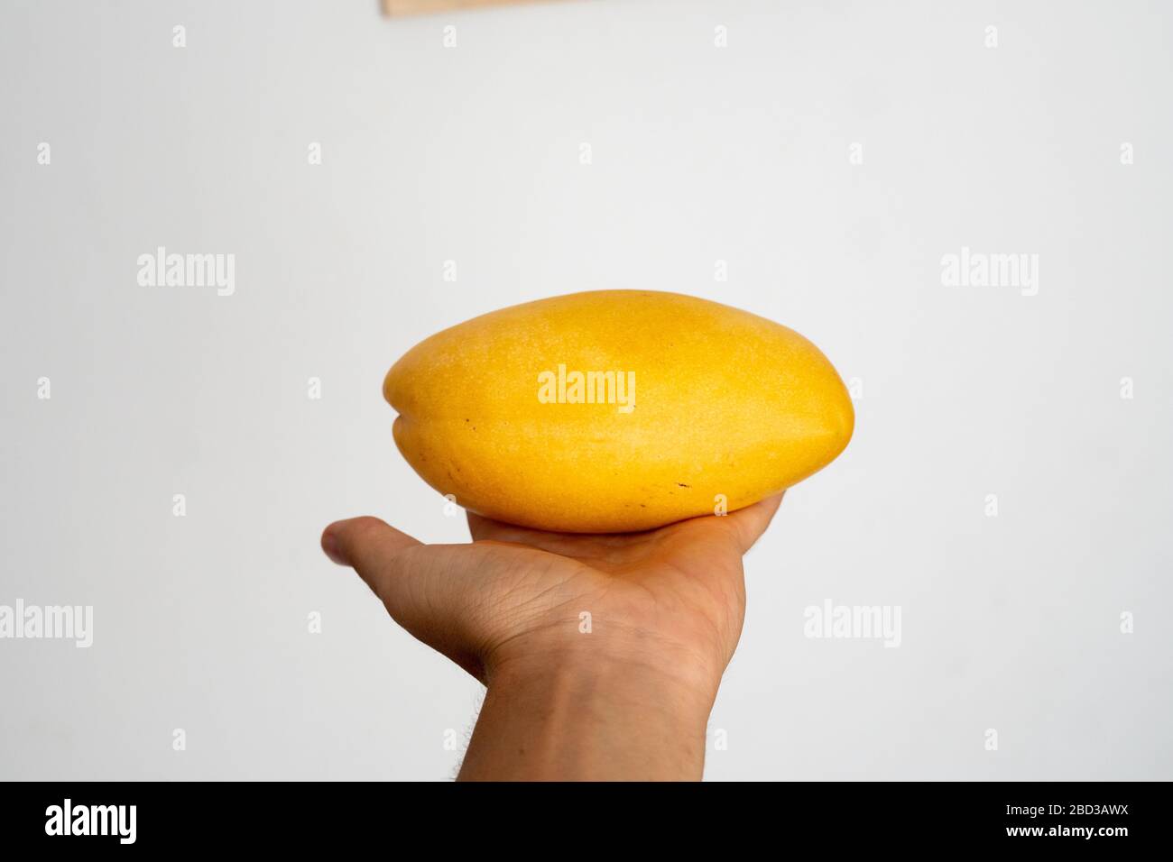 Female hand holding a ripe mango on a white background Stock Photo - Alamy