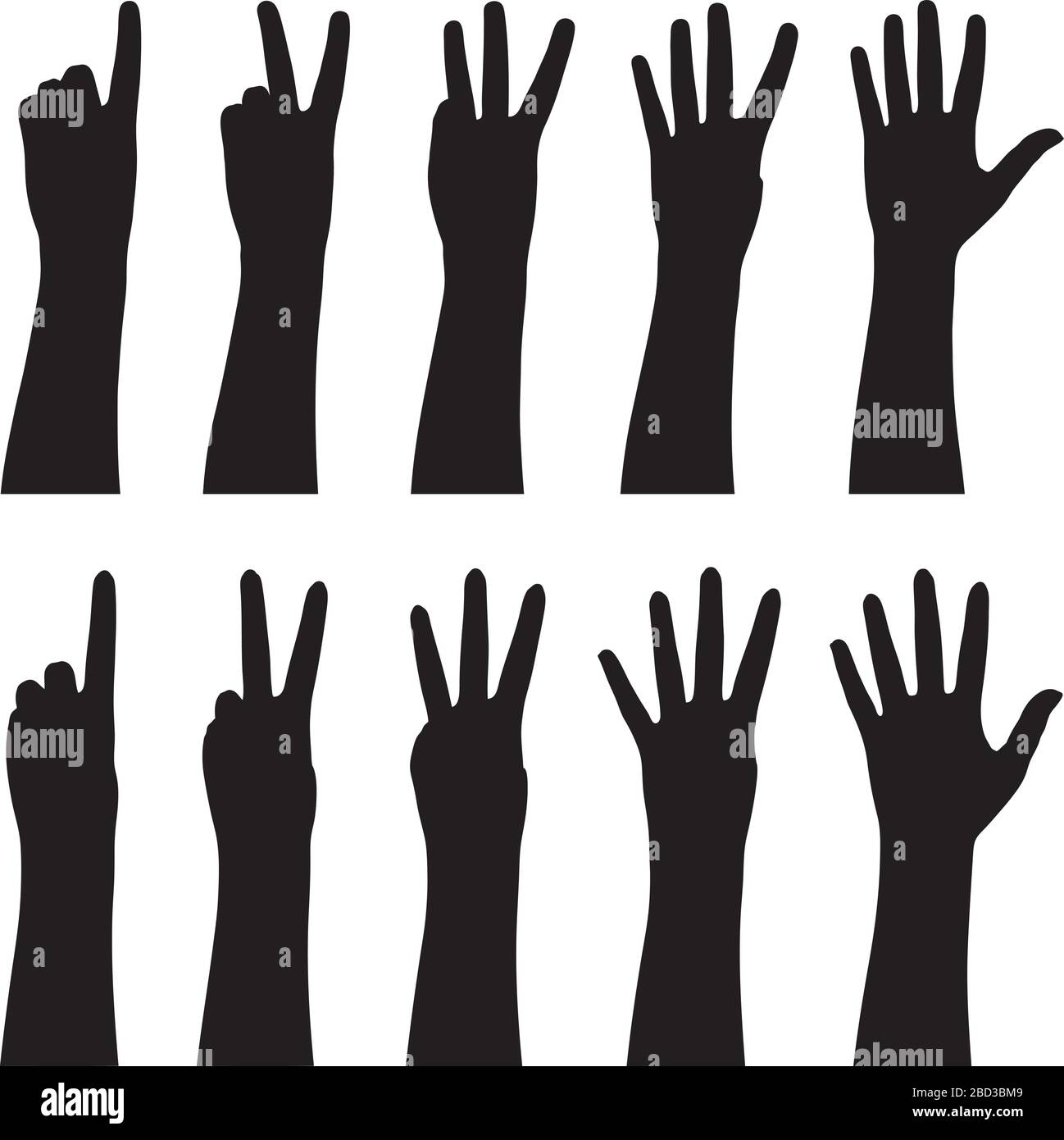 Illustration of hands counting from 1 to 5 isolated on white Stock ...