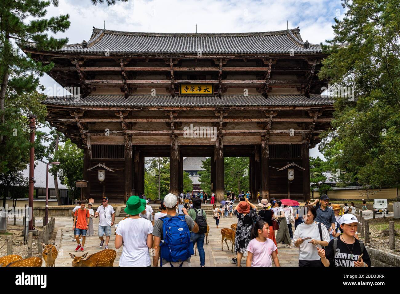 Nara, Japan, August 2019 – Crowd of tourist and deer at the Great South ...