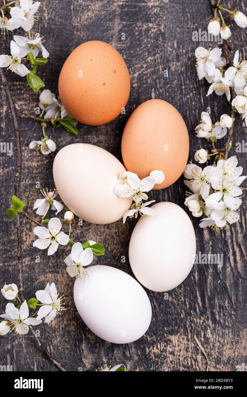 Chicken eggs gradient from light to dark Stock Photo - Alamy
