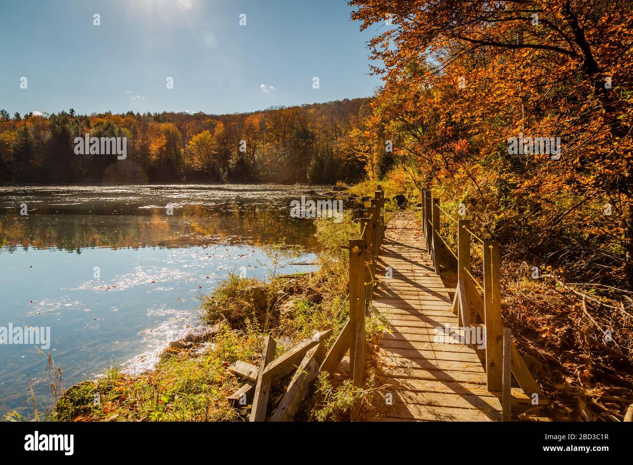 Crossing the pond hi-res stock photography and images - Alamy