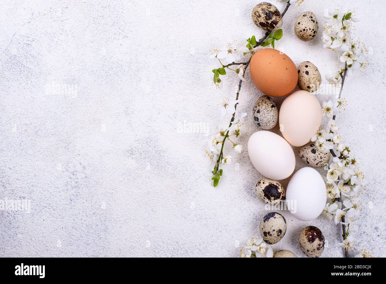 Chicken eggs gradient from light to dark Stock Photo - Alamy