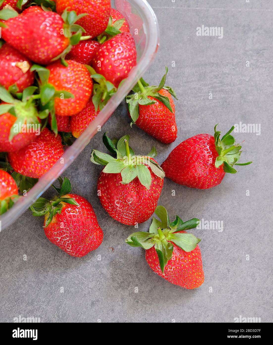 human health and fresh strawberries, strawberry fruit source of ...
