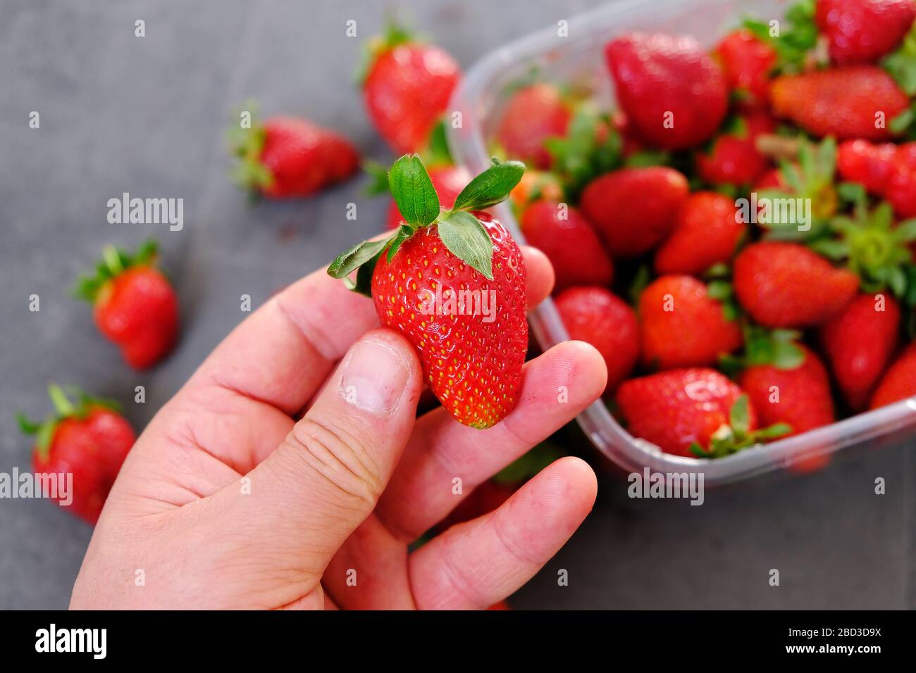 human health and fresh strawberries, strawberry fruit source of ...
