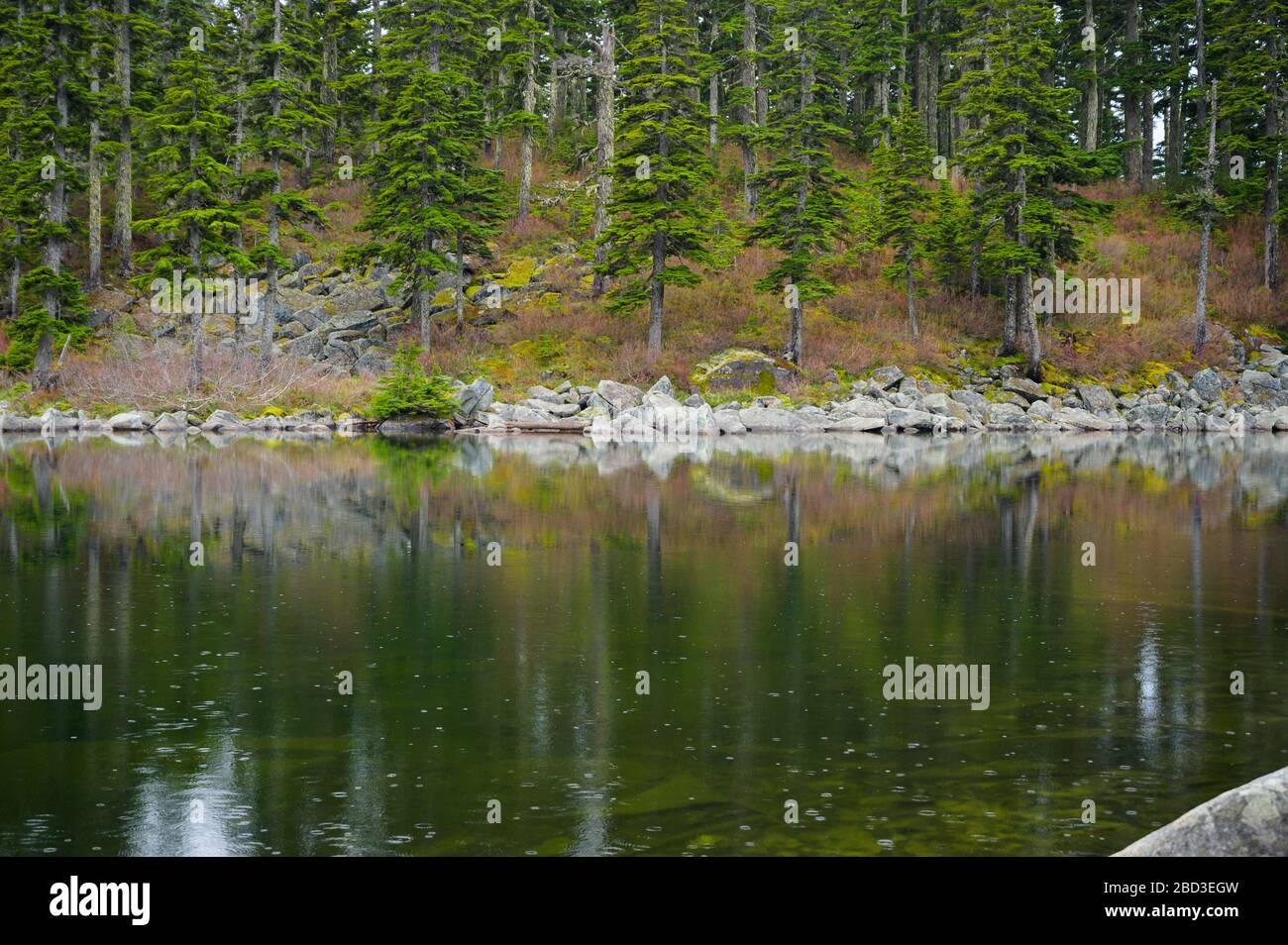 Reflecting in a mountain lake hi-res stock photography and images - Alamy