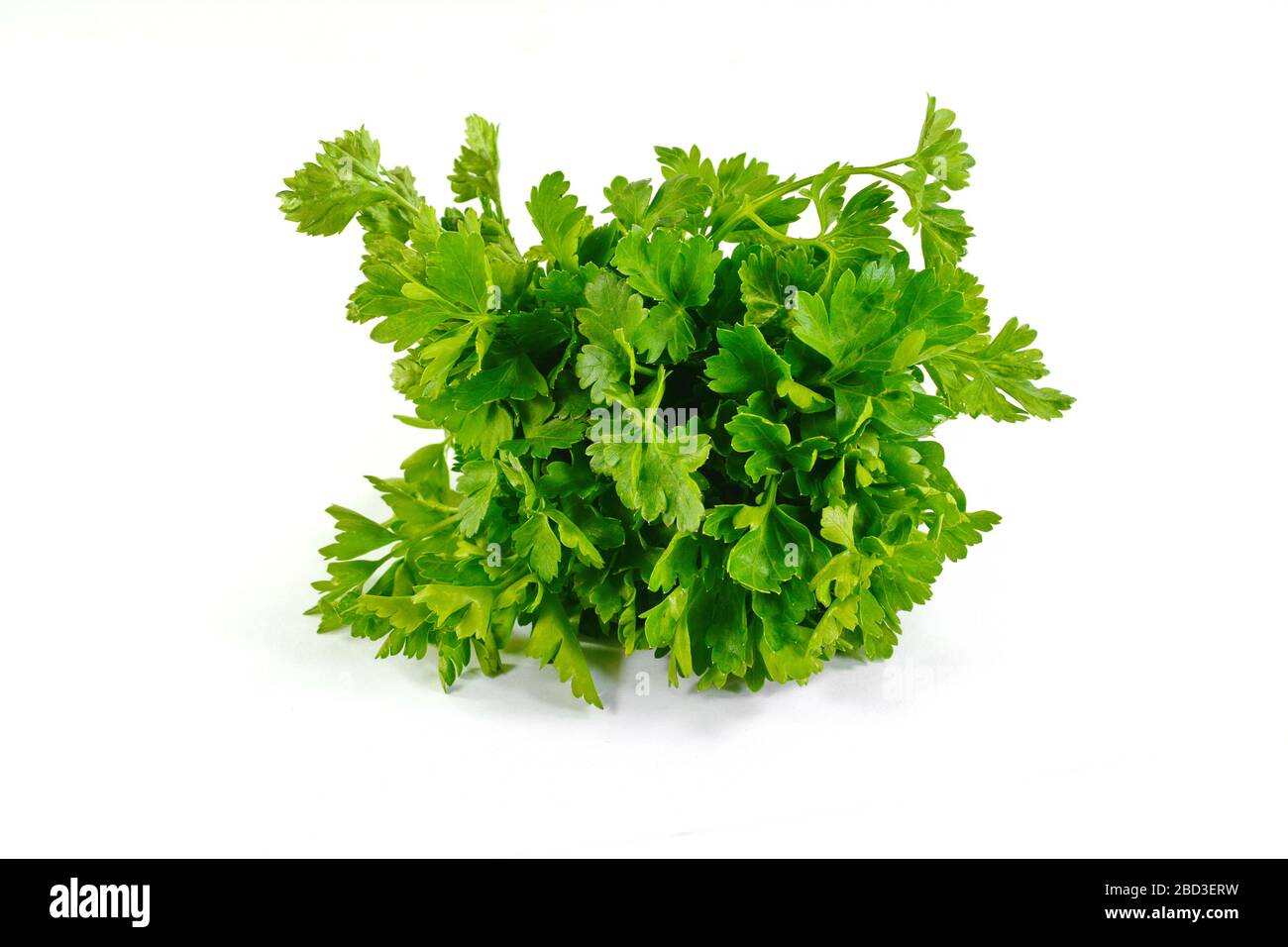parsley bunch isolated on white background Stock Photo - Alamy