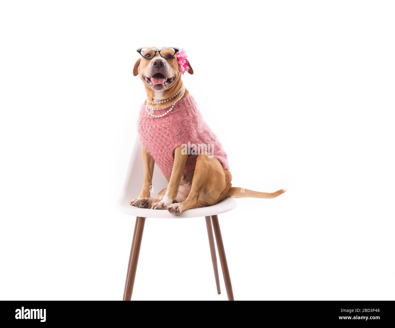 1950s sitting room Cut Out Stock Images & Pictures - Alamy