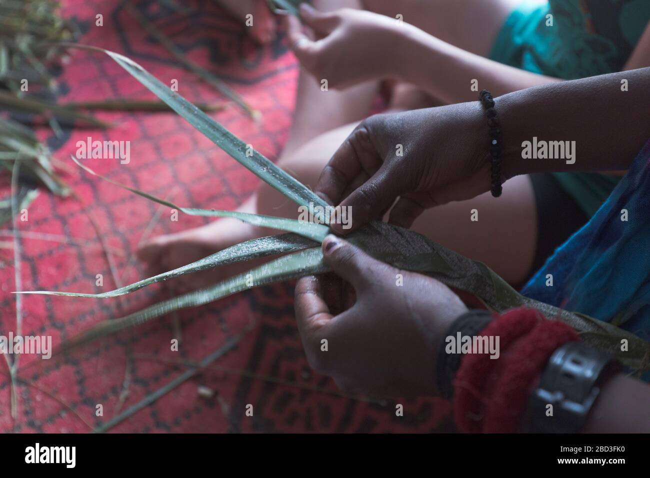 Hands of people braiding palm in a learning workshop. Shots taken in ...
