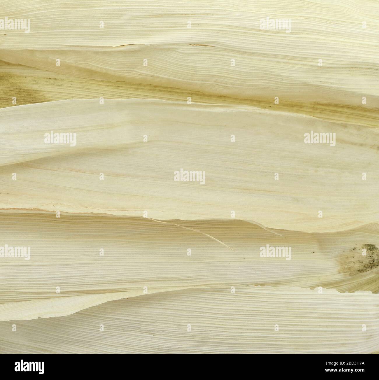 Dry corn bark for use as a dry food background Stock Photo - Alamy