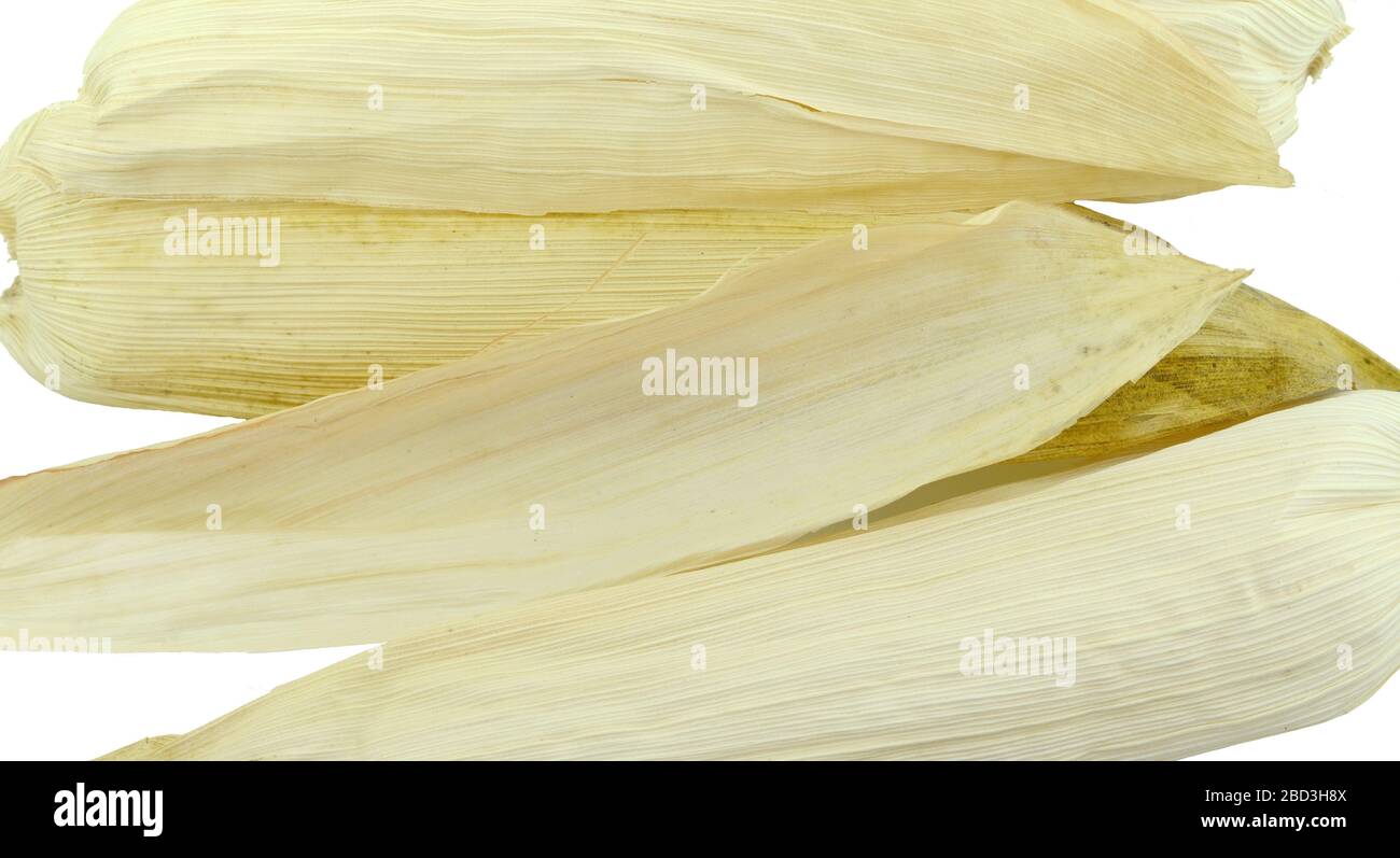 Dry corn bark for use as a dry food background Stock Photo - Alamy