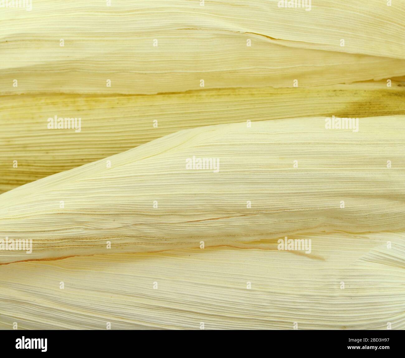 Dry corn bark for use as a dry food background Stock Photo - Alamy