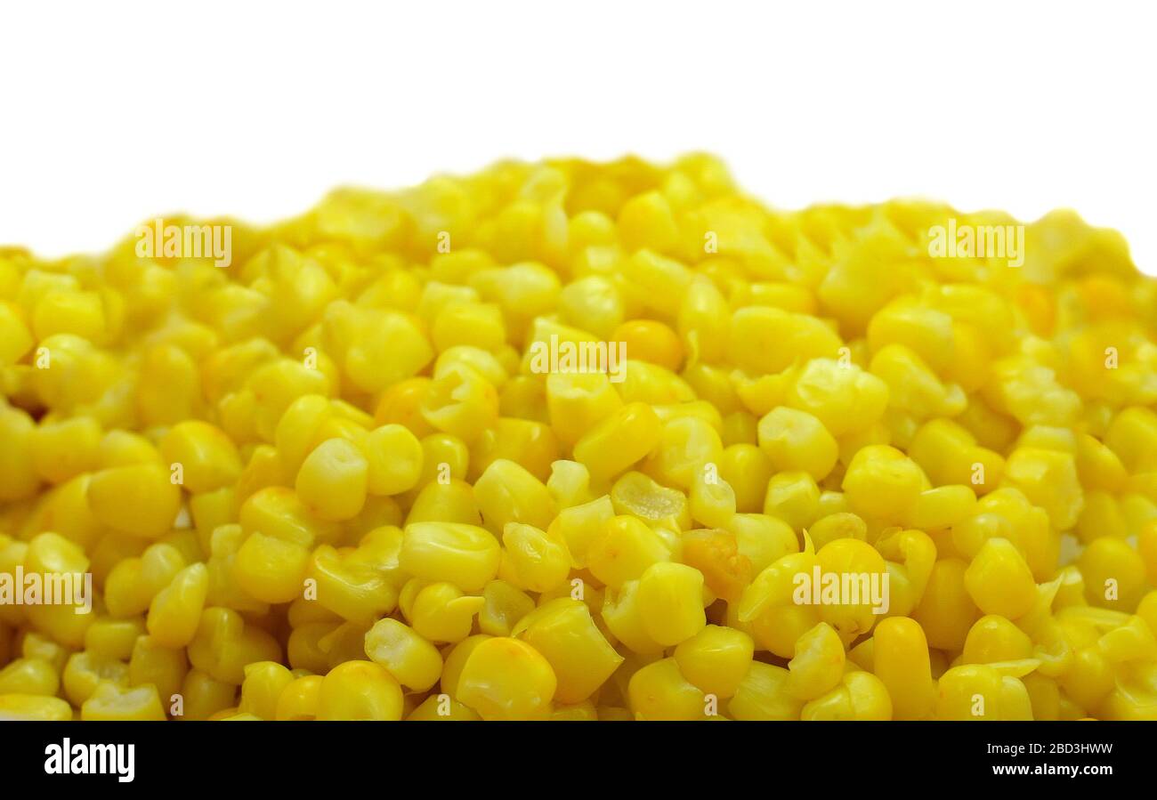 Close up of the corn seeds for the background. Background of boiled ...