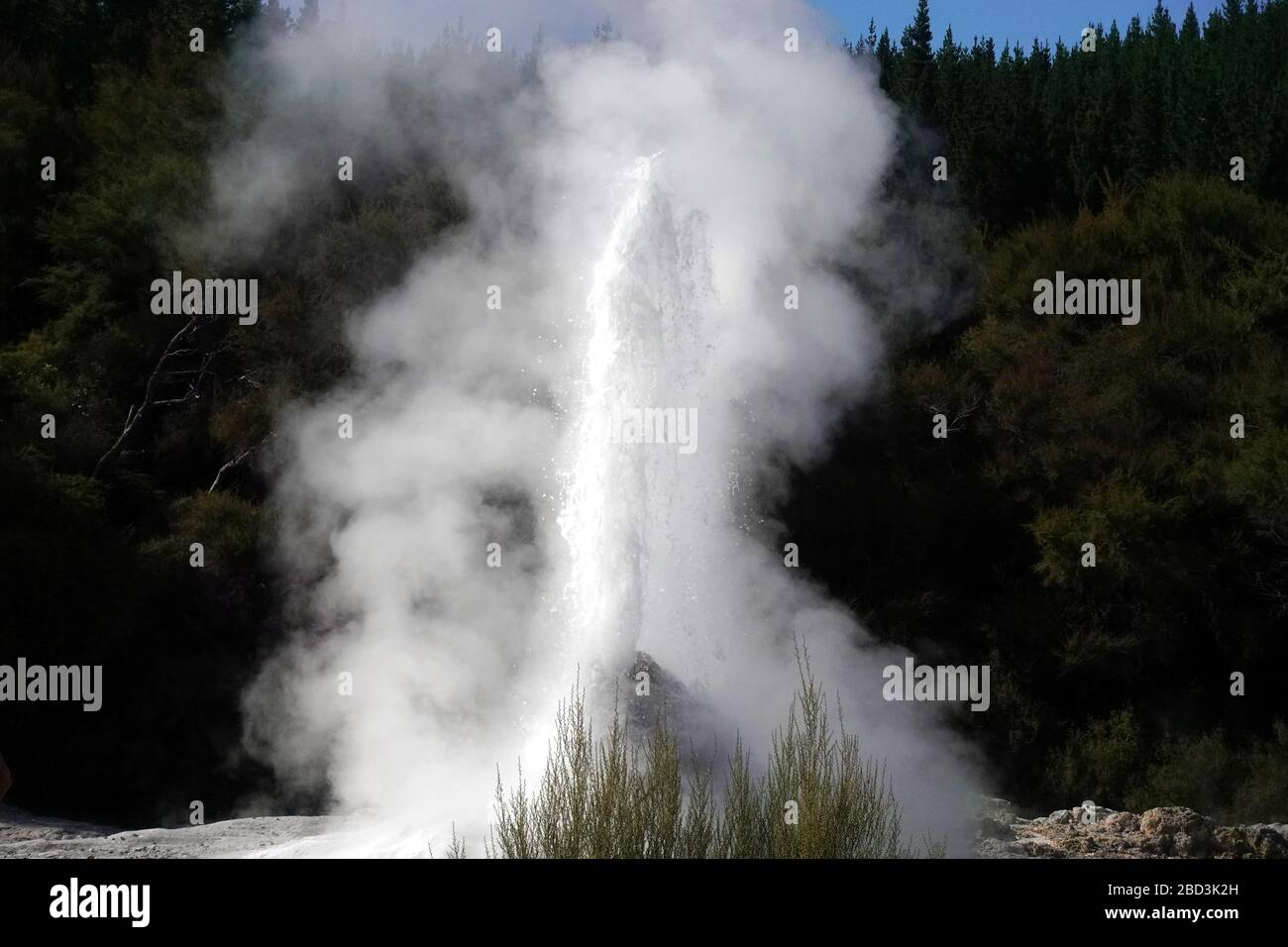 Geothermal new zealand hi-res stock photography and images - Alamy
