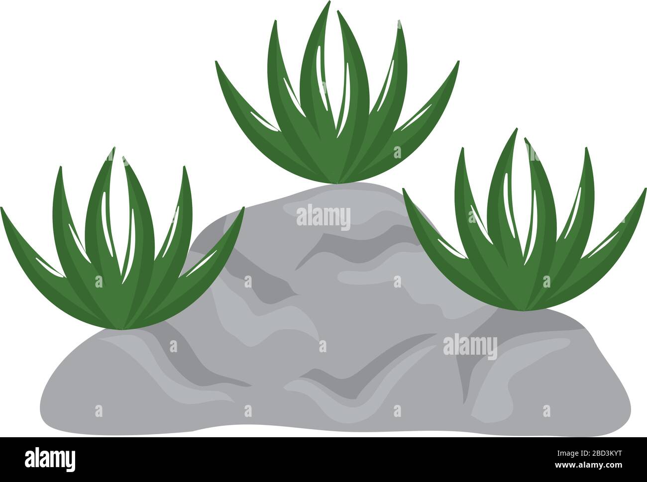 Isolated plants over rock vector design Stock Vector Image & Art - Alamy