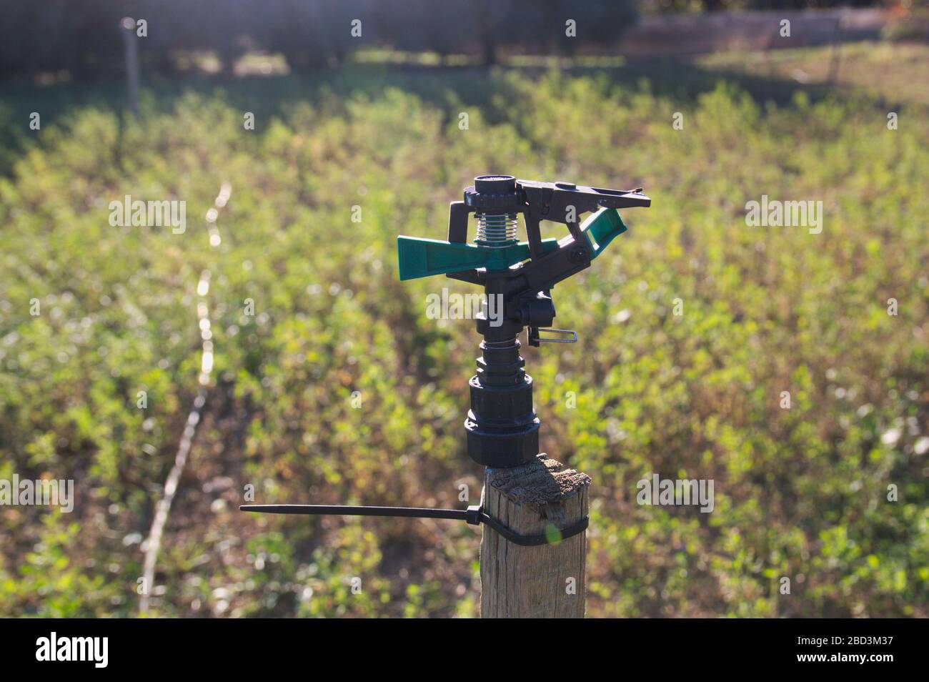 Spin sprinkler hi-res stock photography and images - Alamy