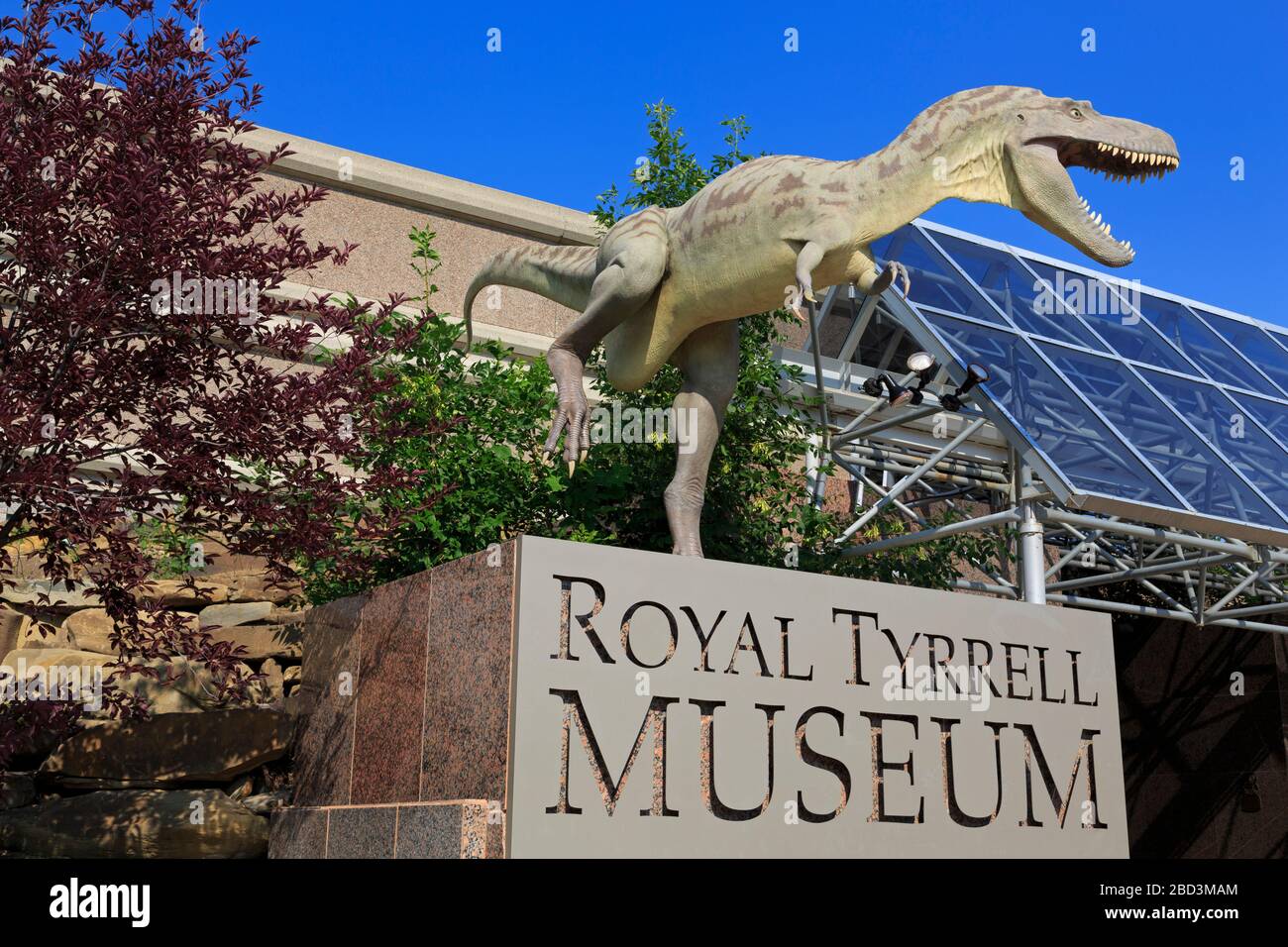 Royal Tyrrell Museum, Dinosaur in Drumheller, Alberta, Canada Stock ...