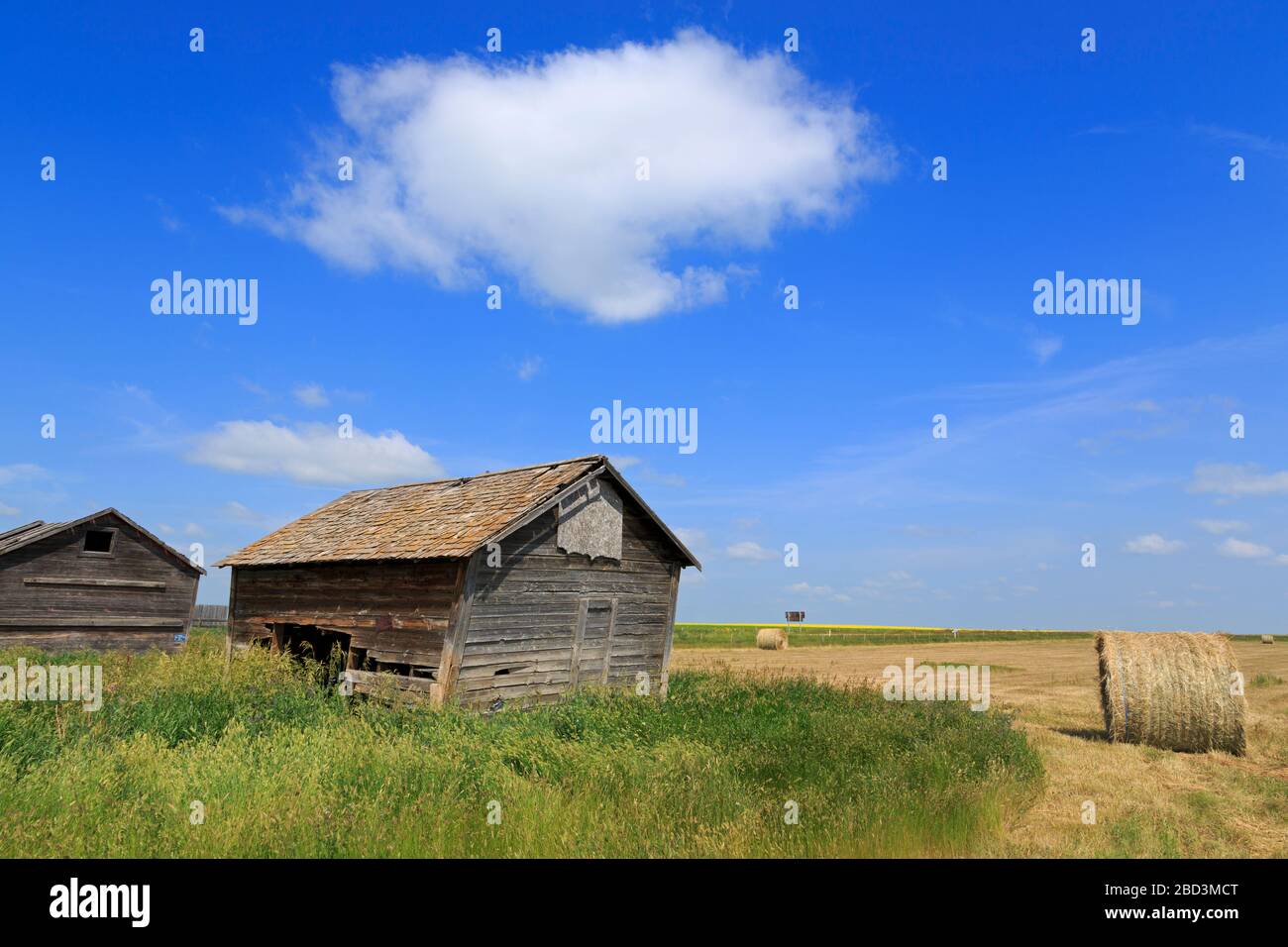 Farm in Bleriot, Drumheller, Alberta, Canada Stock Photo - Alamy