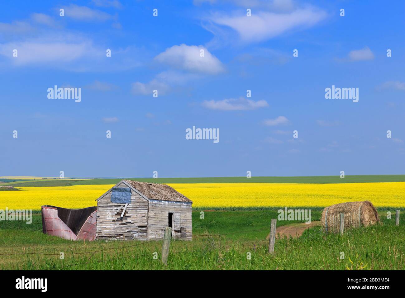 Trochu alberta hi-res stock photography and images - Alamy