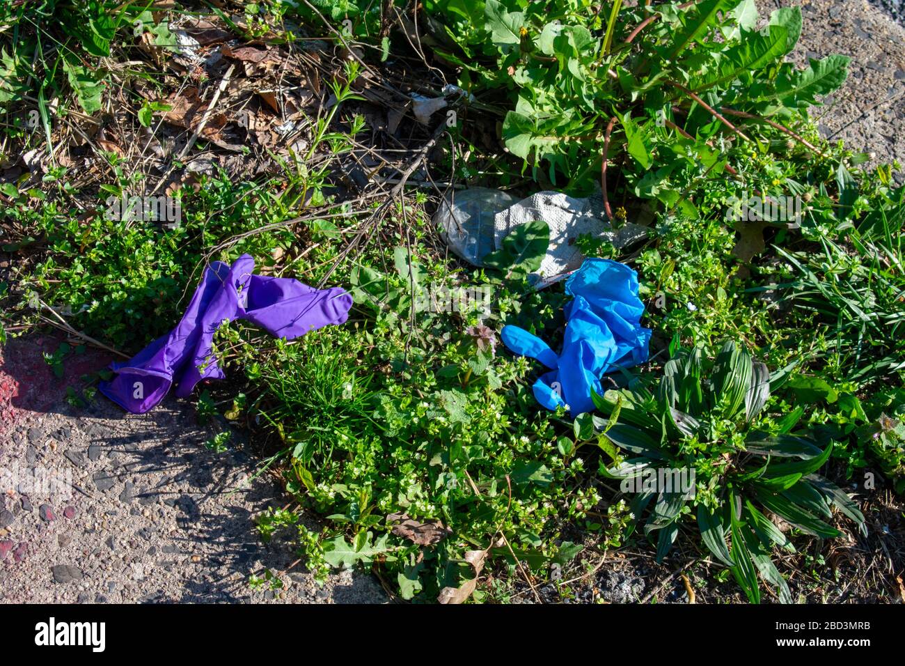 Blue purple medical glove hi-res stock photography and images - Alamy