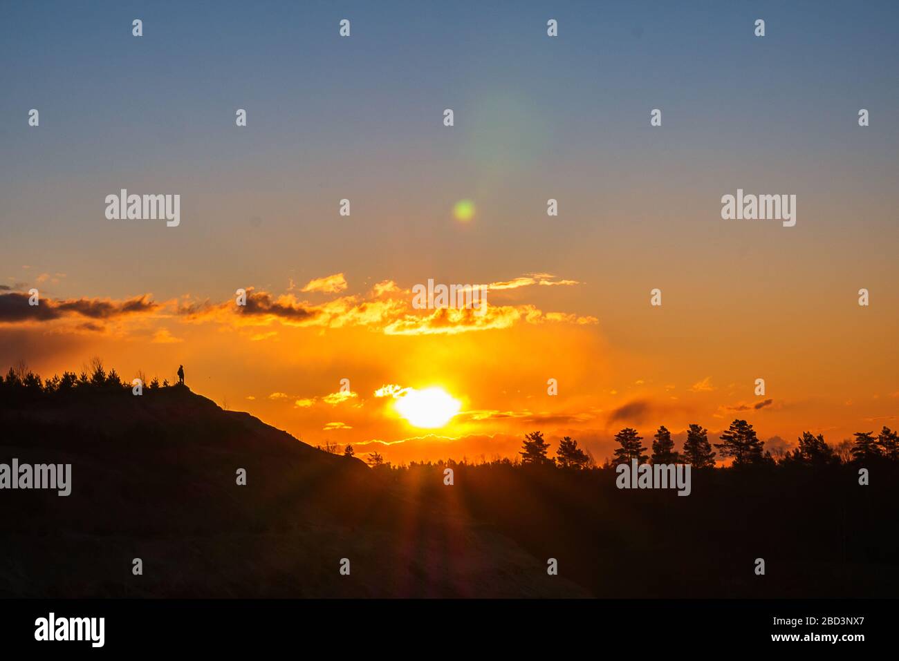 Sunset against the backdrop of tree tops Stock Photo - Alamy