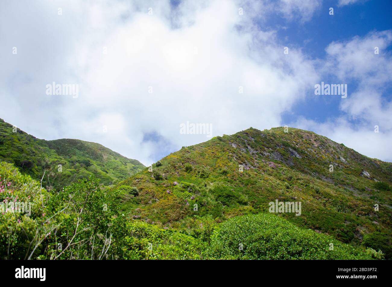 Walking on the Paekakariki Escarpment Track in Wellington, New Zealand ...
