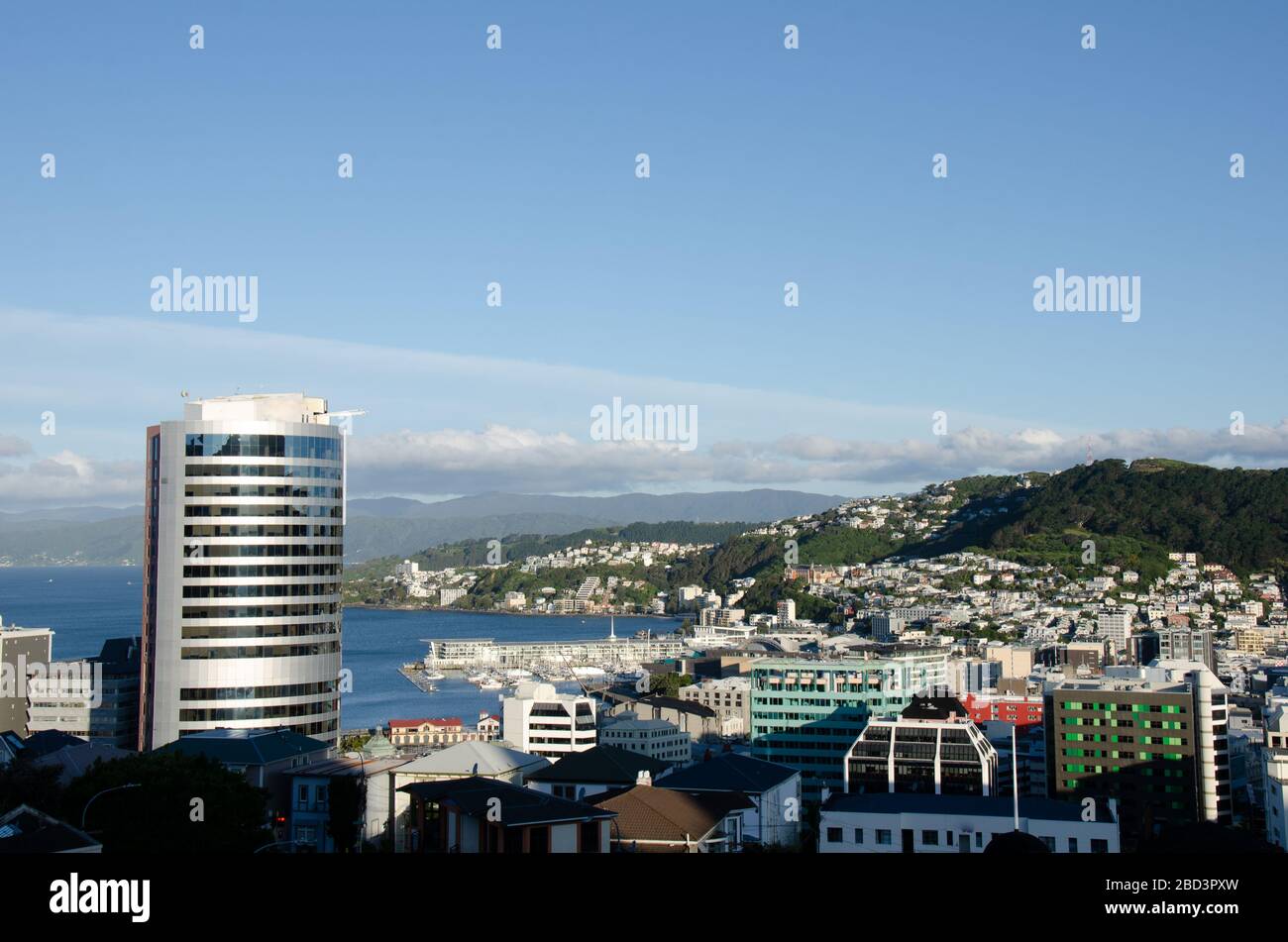 View of wellington city buildings from botanic gardens on sunny day ...