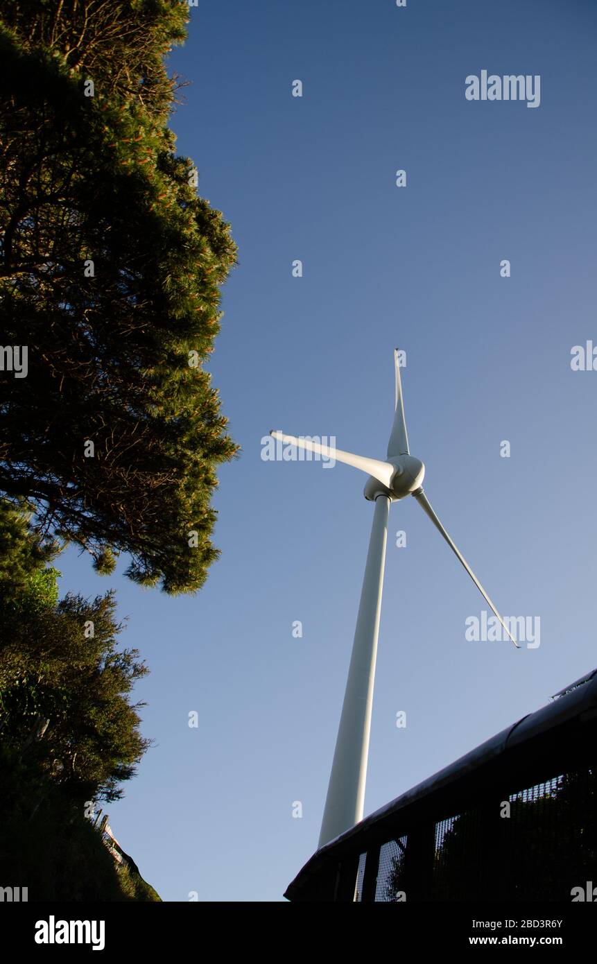 Windy wellington hi-res stock photography and images - Alamy