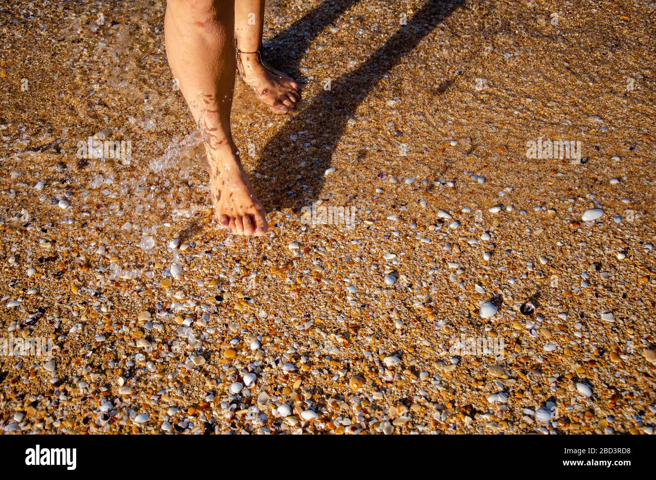 Sandy beach in Devonport, Auckland Stock Photo - Alamy