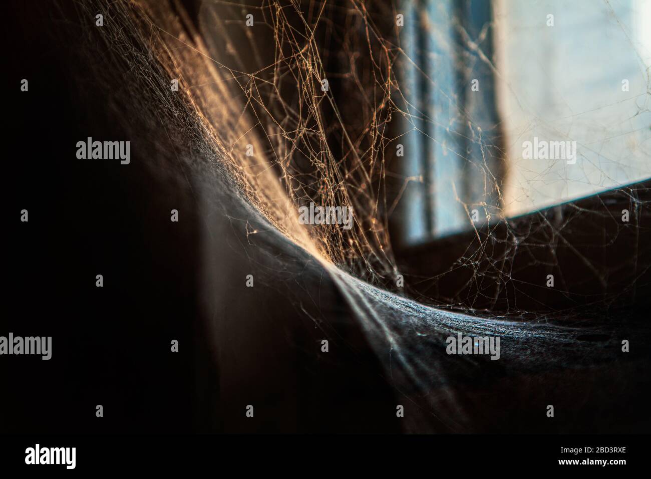 spider web in a dark corner of old house Stock Photo - Alamy