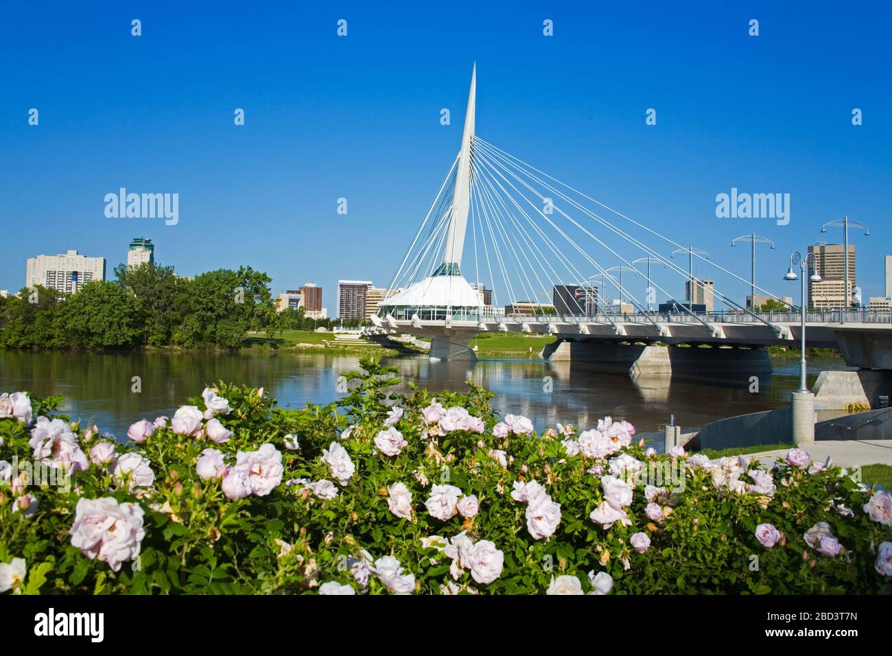 Esplanade Riel Pedestrian Bridge, Winnipeg, Manitoba, Canada Stock ...