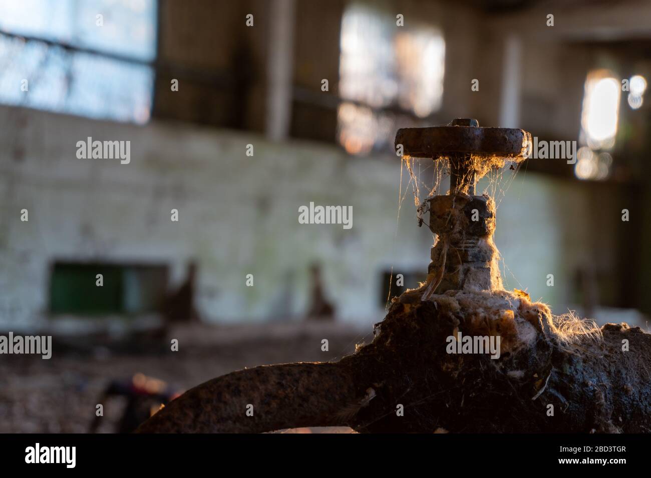Cobweb windows hi-res stock photography and images - Alamy