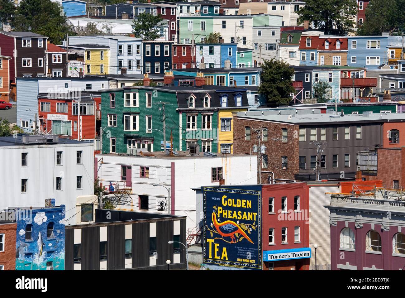 Colorful houses in St. John's City, Newfoundland, Canada Stock Photo ...