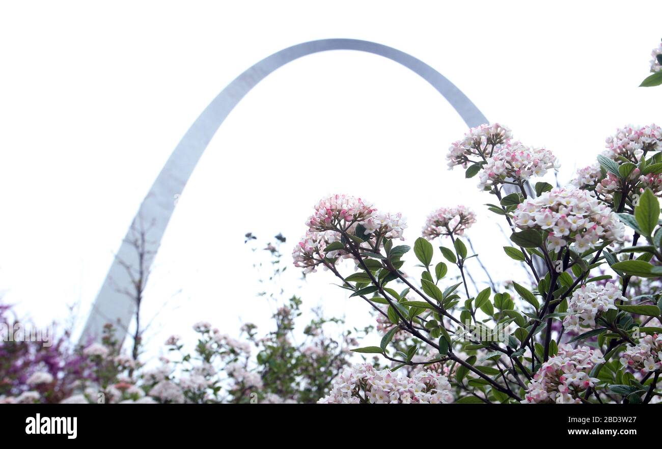 St louis gateway arch 2020 hi-res stock photography and images - Alamy