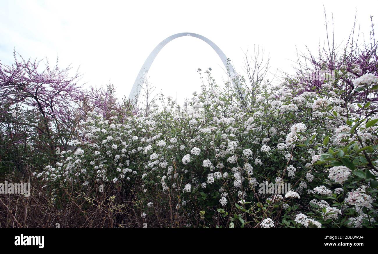 St louis gateway arch 2020 hi-res stock photography and images - Alamy
