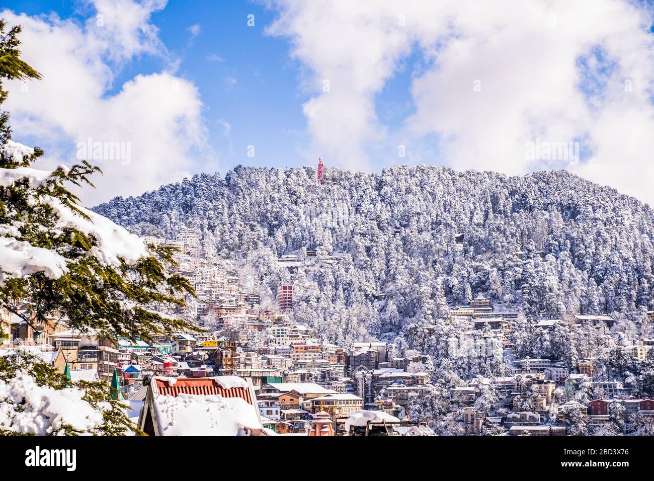 After Snowfall a Very Beautiful City in Shimla Stock Photo - Alamy