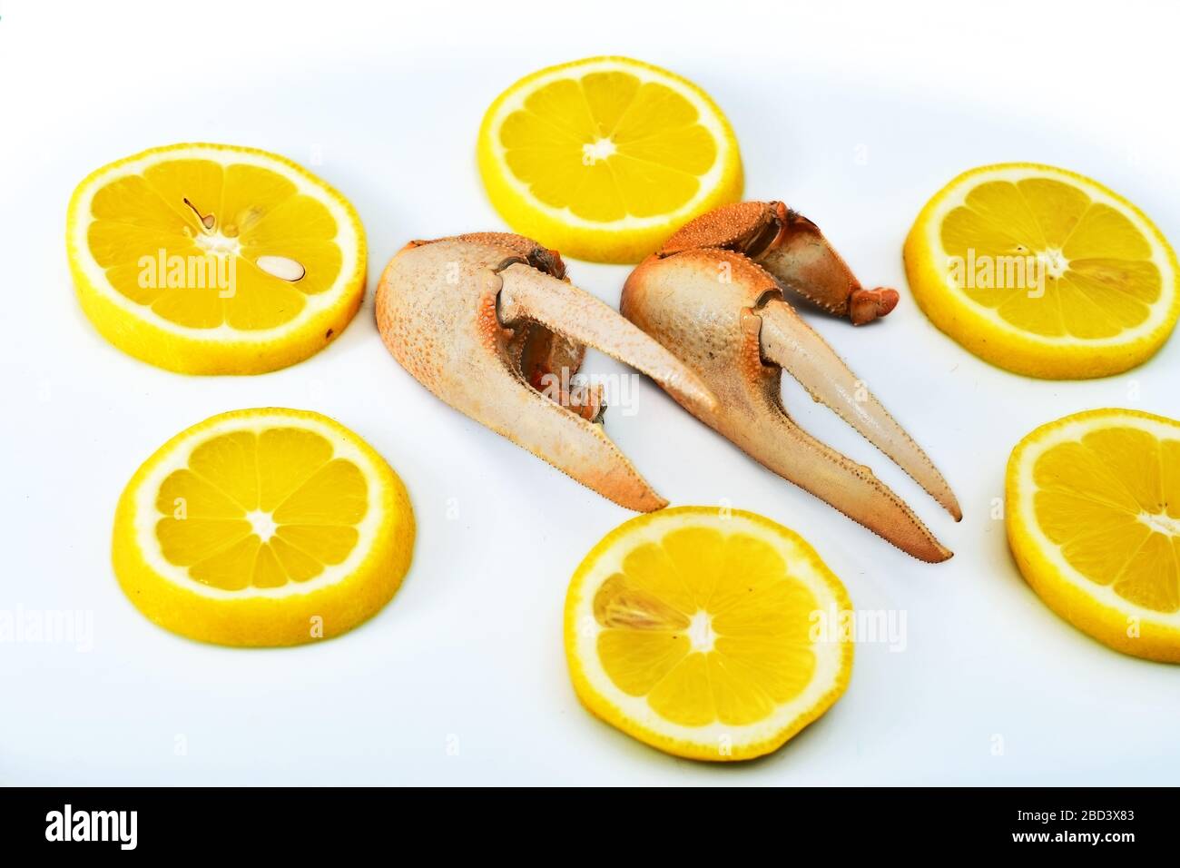 Cooked fiddler crab claws and lemon wedges. Typical Andalusian dish ...