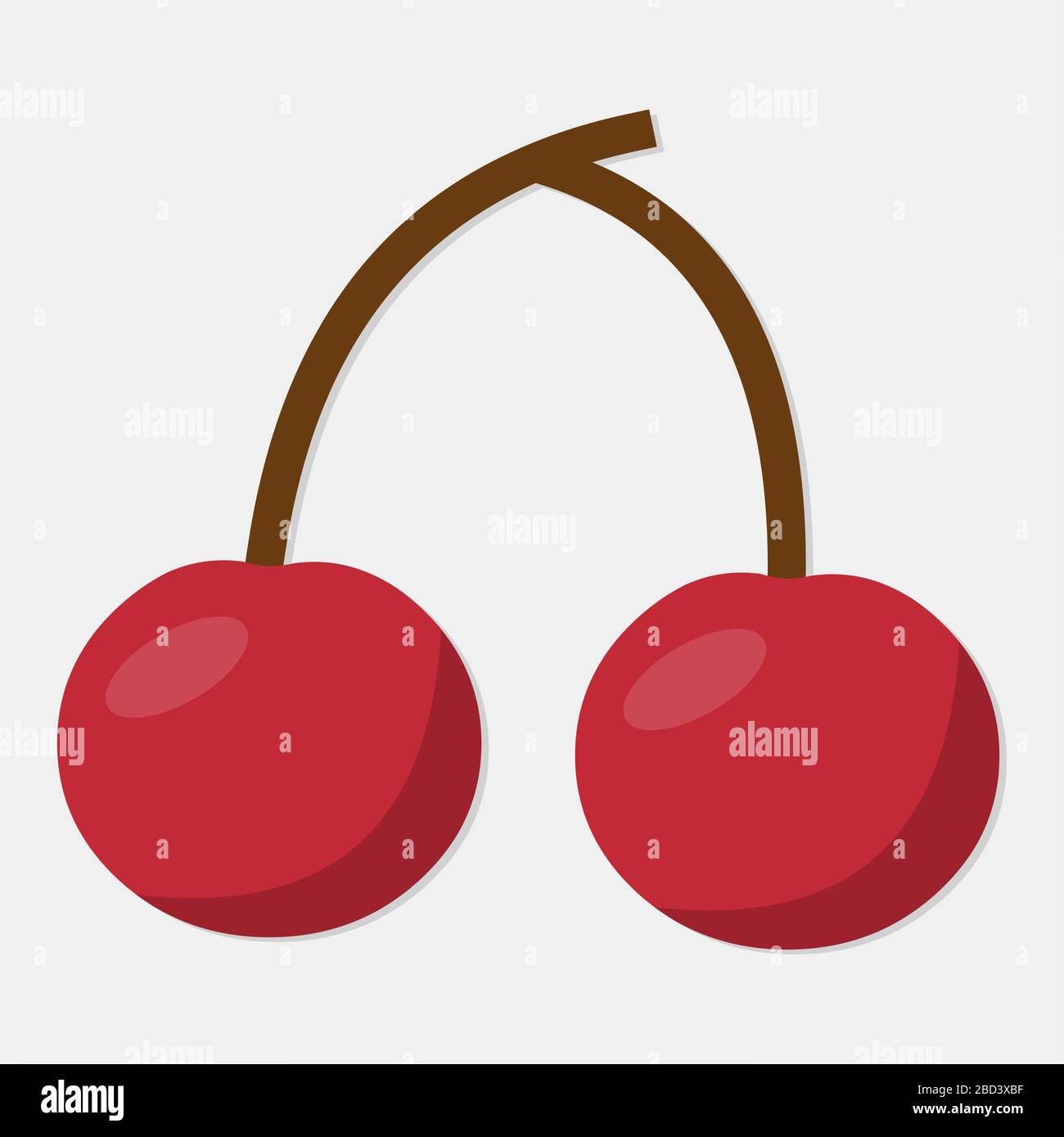 fresh cherry fruit isolated for healthy food concept vector ...