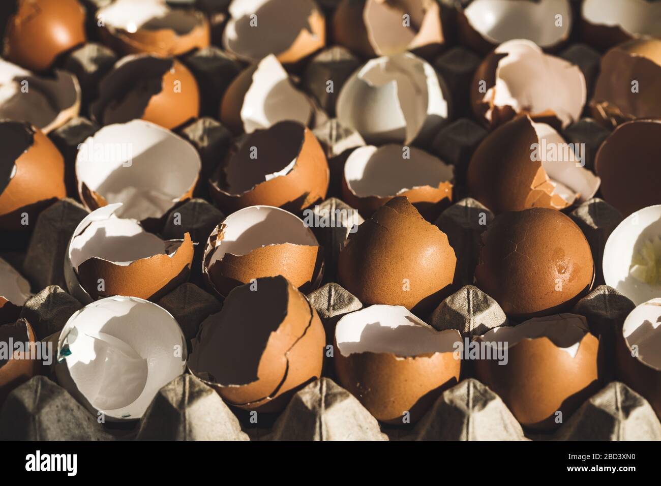 Texture of broken empty eggshell in carton box. View from above ...