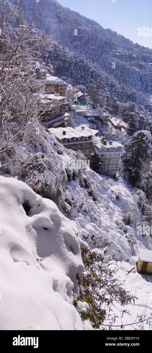 After Snowfall a Very Beautiful City in Shimla Stock Photo - Alamy